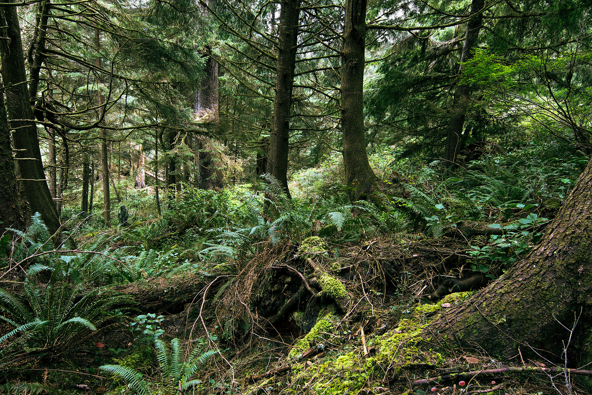 Wendy Given | The Wilds