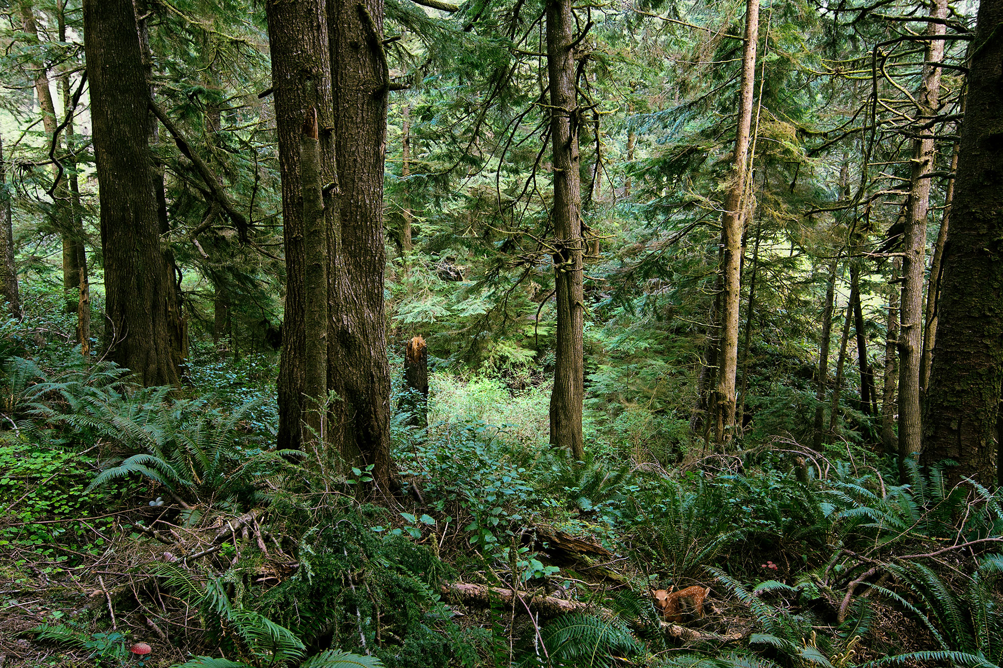 Wendy Given | The Wilds